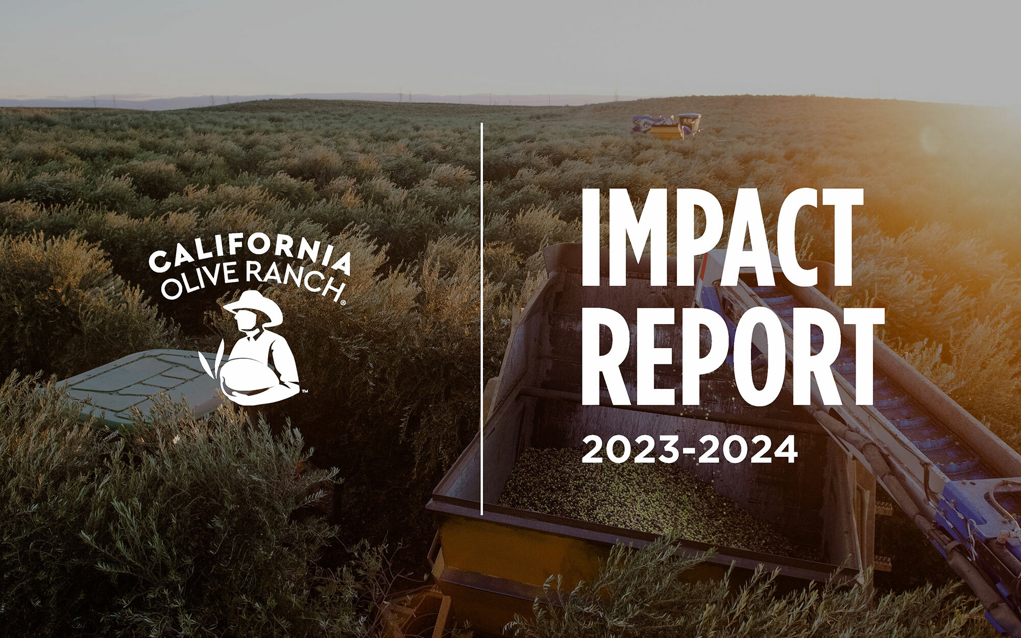 California Olive Ranch Impact Report 2024 | California Olive Ranch